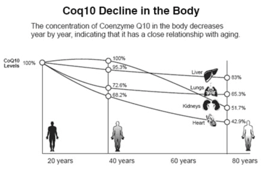 Activated CoQ10 - The Super Star of Cellular Metabolism